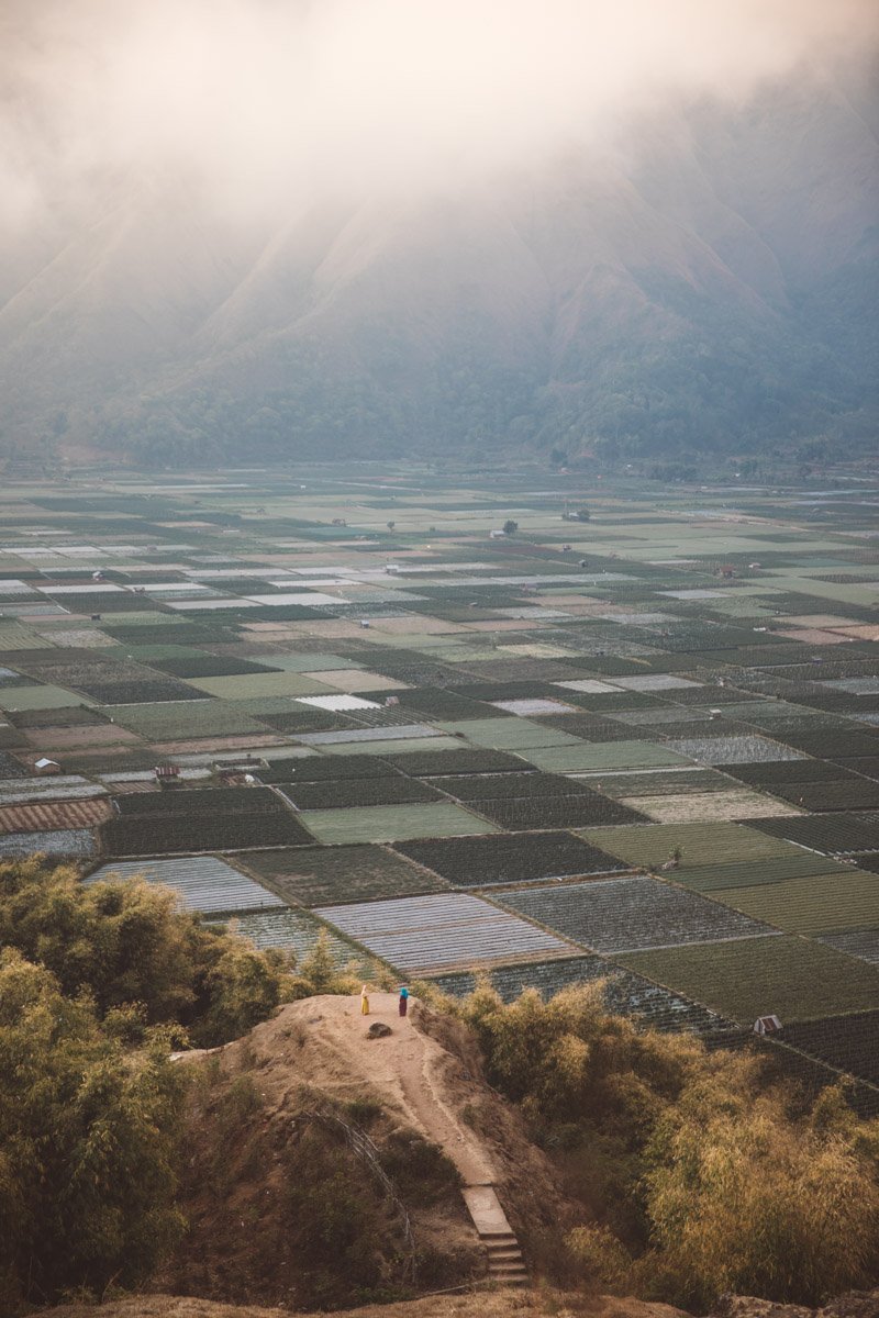 Bukit Selong Rice Field Viewpoint (Selong Hill) - Sembalun, Lombok – We ...