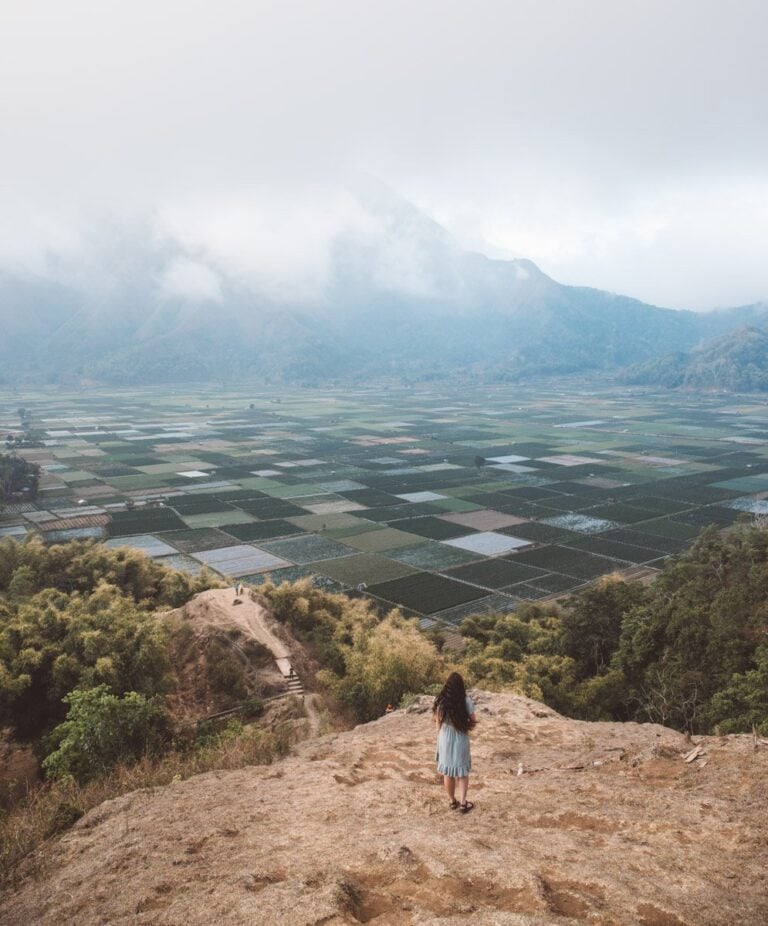 Sembalun Travel Guide With 7 Unmissable Things to Do