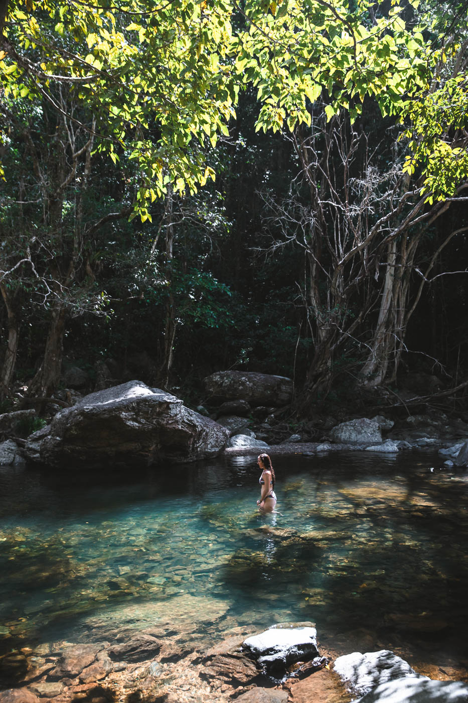 Crystal Cascades - Cairns Waterfall Guide