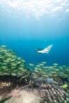 How to Visit the Secret Gili Islands in Lombok
