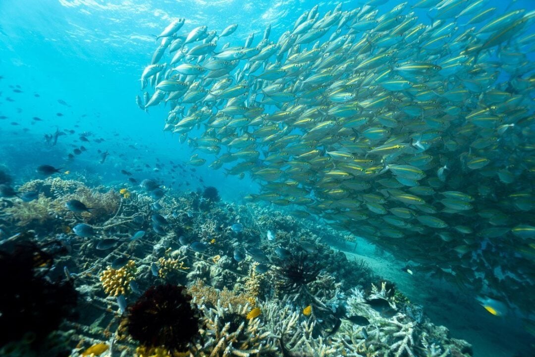 How to Visit the Secret Gili Islands in Lombok