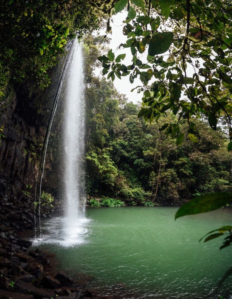 Millaa Millaa Falls: Cairns Waterfall Guide