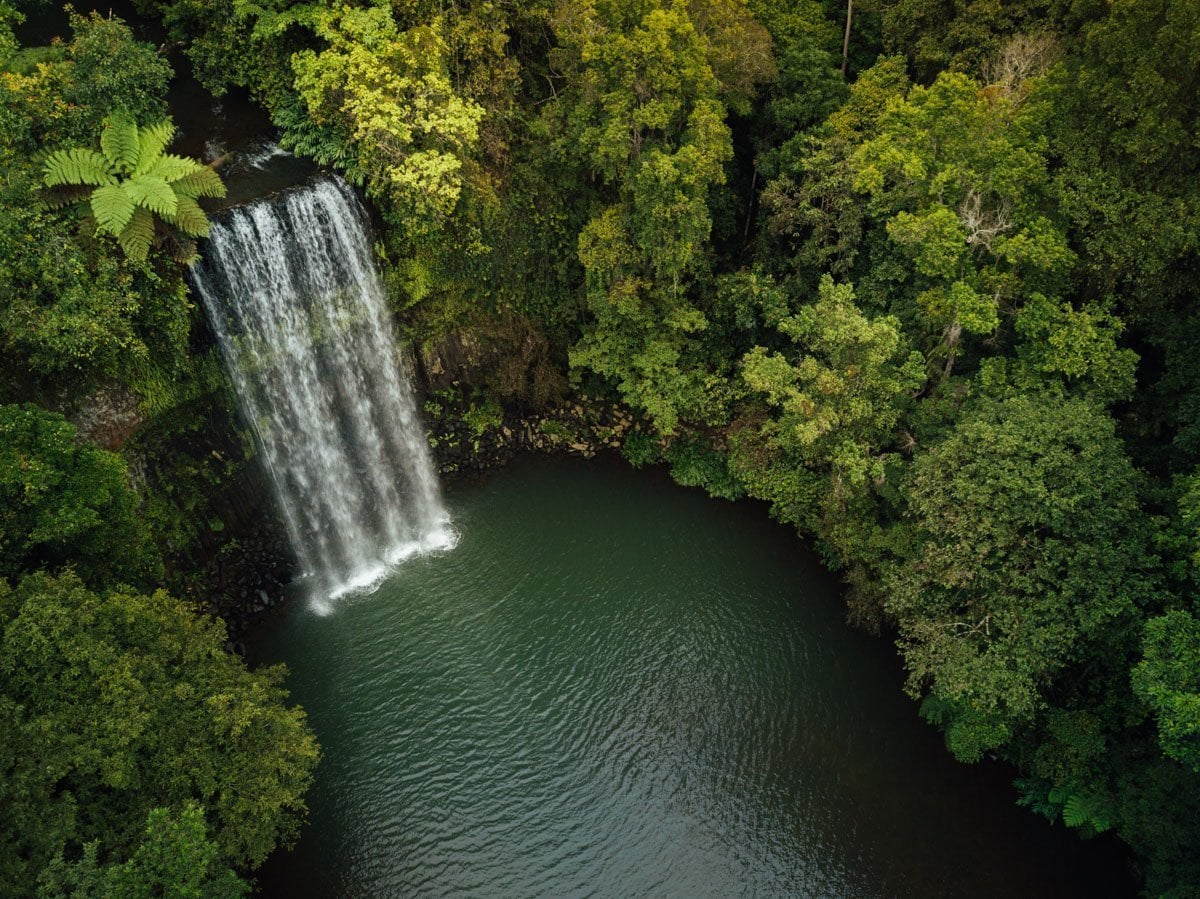 Milla Milla Falls - Incredible Waterfall in the Atherton Tablelands ...