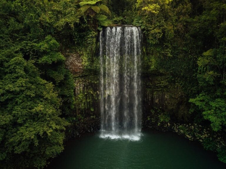 Milla Milla Falls - Incredible Waterfall in the Atherton Tablelands ...