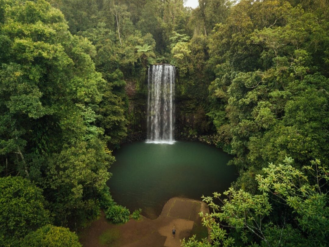Millaa Millaa Falls: Cairns Waterfall Guide