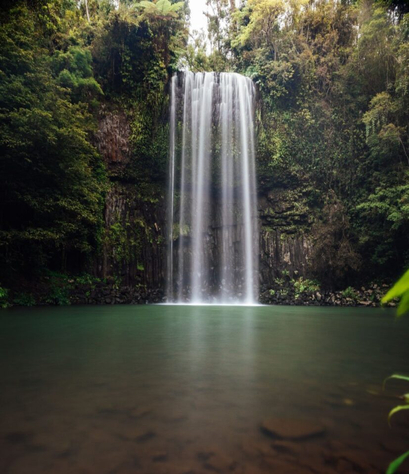 Millaa Millaa Waterfall Circuit - Essential Guide