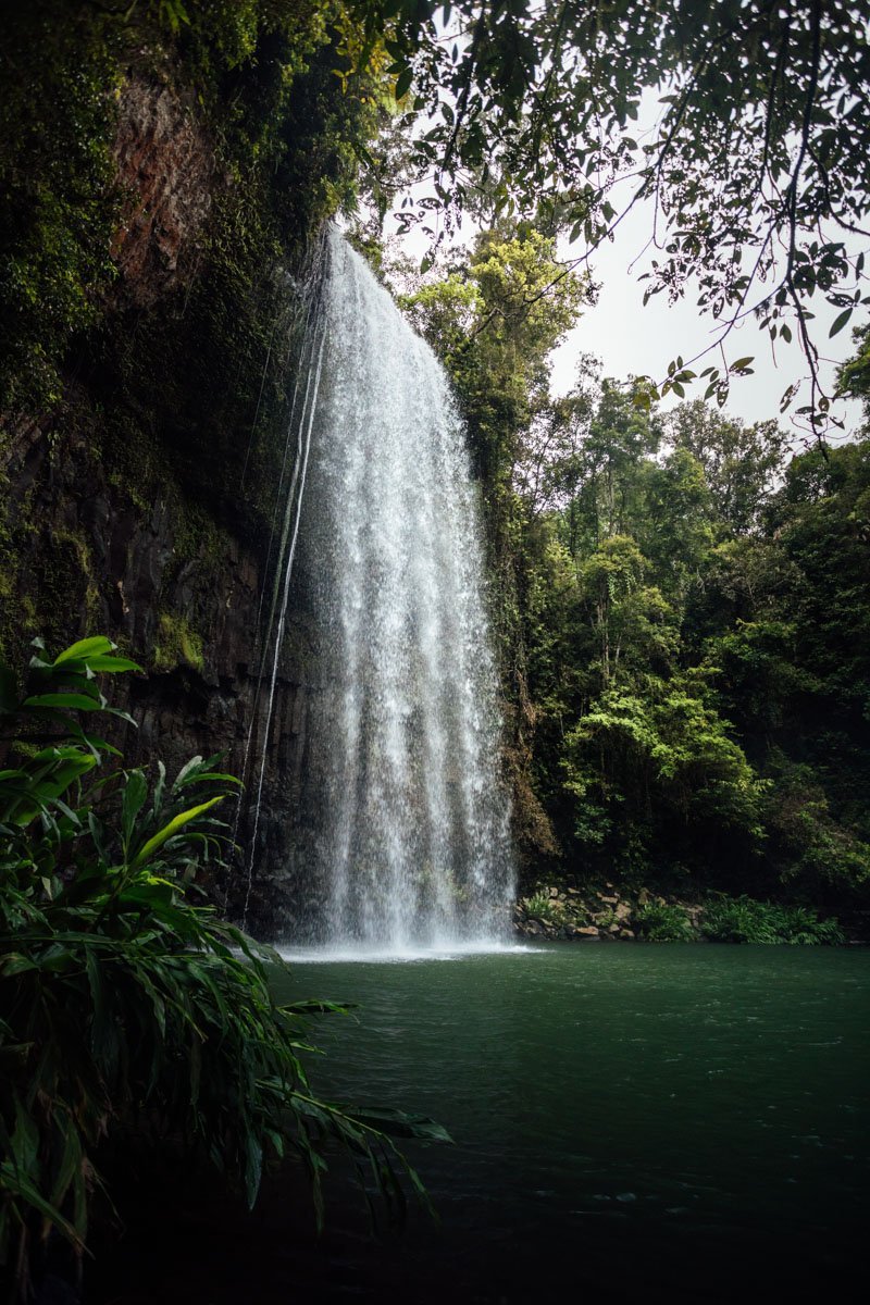 Millaa Millaa Falls - Incredible Waterfall in the Atherton Tablelands ...