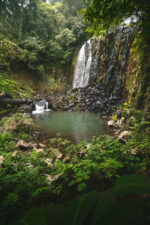 How to Visit Mungalli Falls in the Atherton Tablelands