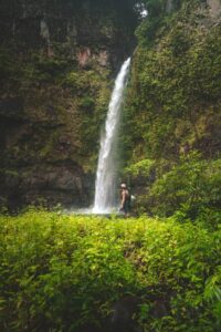 Nandroya Falls: Hiking & Waterfall Guide From Cairns