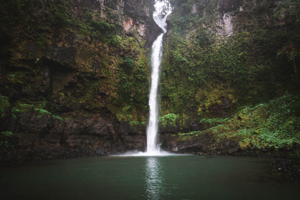 Nandroya Falls: Hiking & Waterfall Guide From Cairns