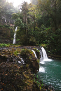 Nandroya Falls: Hiking & Waterfall Guide From Cairns