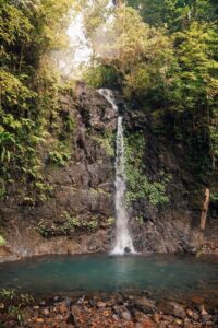 Nandroya Falls: Hiking & Waterfall Guide From Cairns