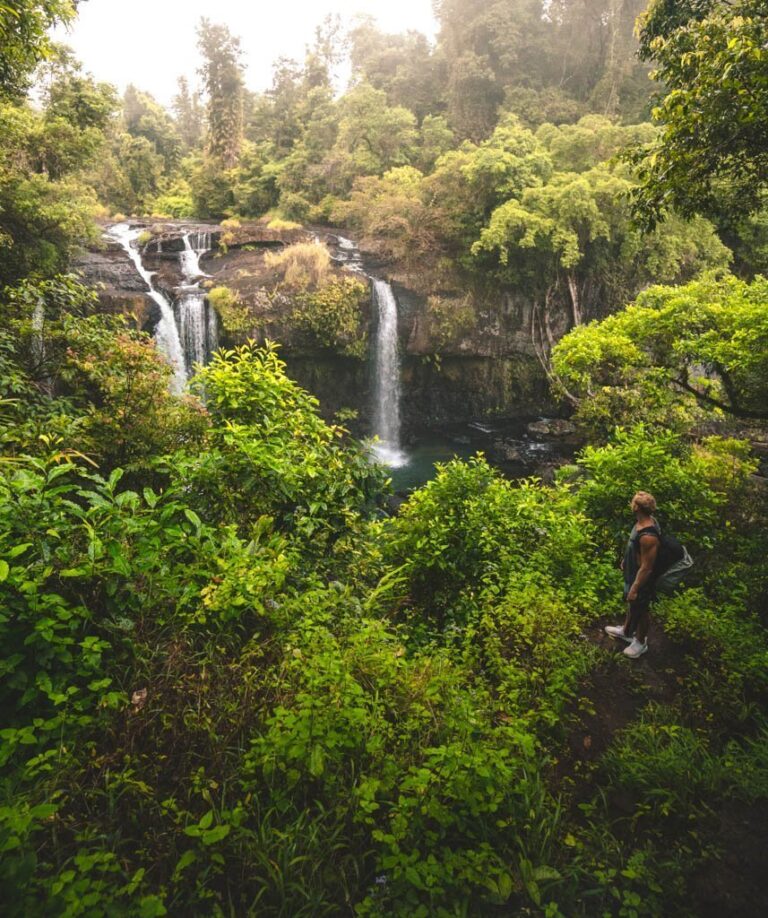 Nandroya Falls: Hiking & Waterfall Guide From Cairns