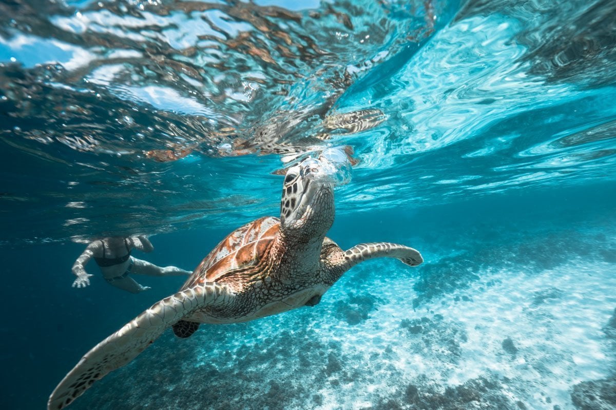Best Gili Islands Snorkeling Locations – We Seek Travel Blog