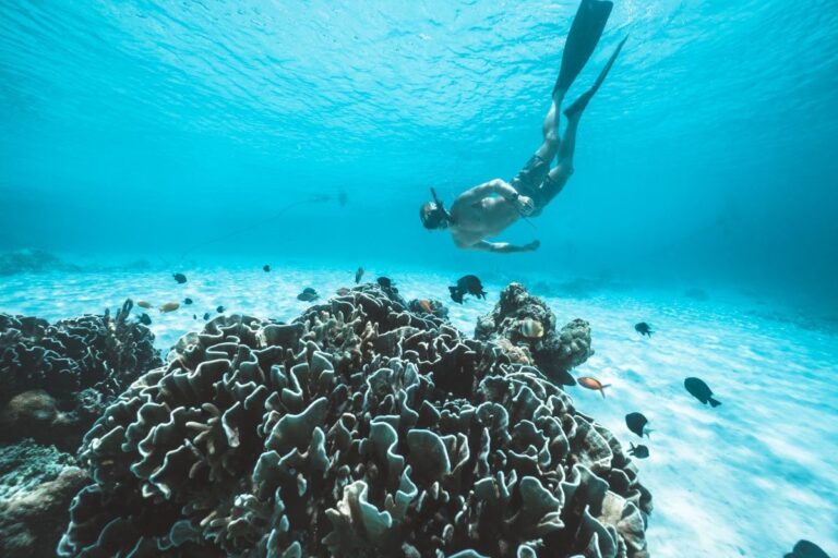 Best Gili Islands Snorkeling Locations – We Seek Travel Blog