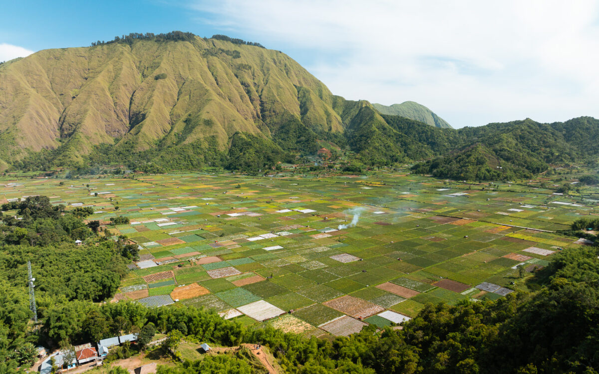 Bukit Selong Rice Field Viewpoint in Sembalun, Lombok