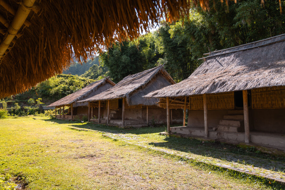 Bukit Selong Rice Field Viewpoint in Sembalun, Lombok