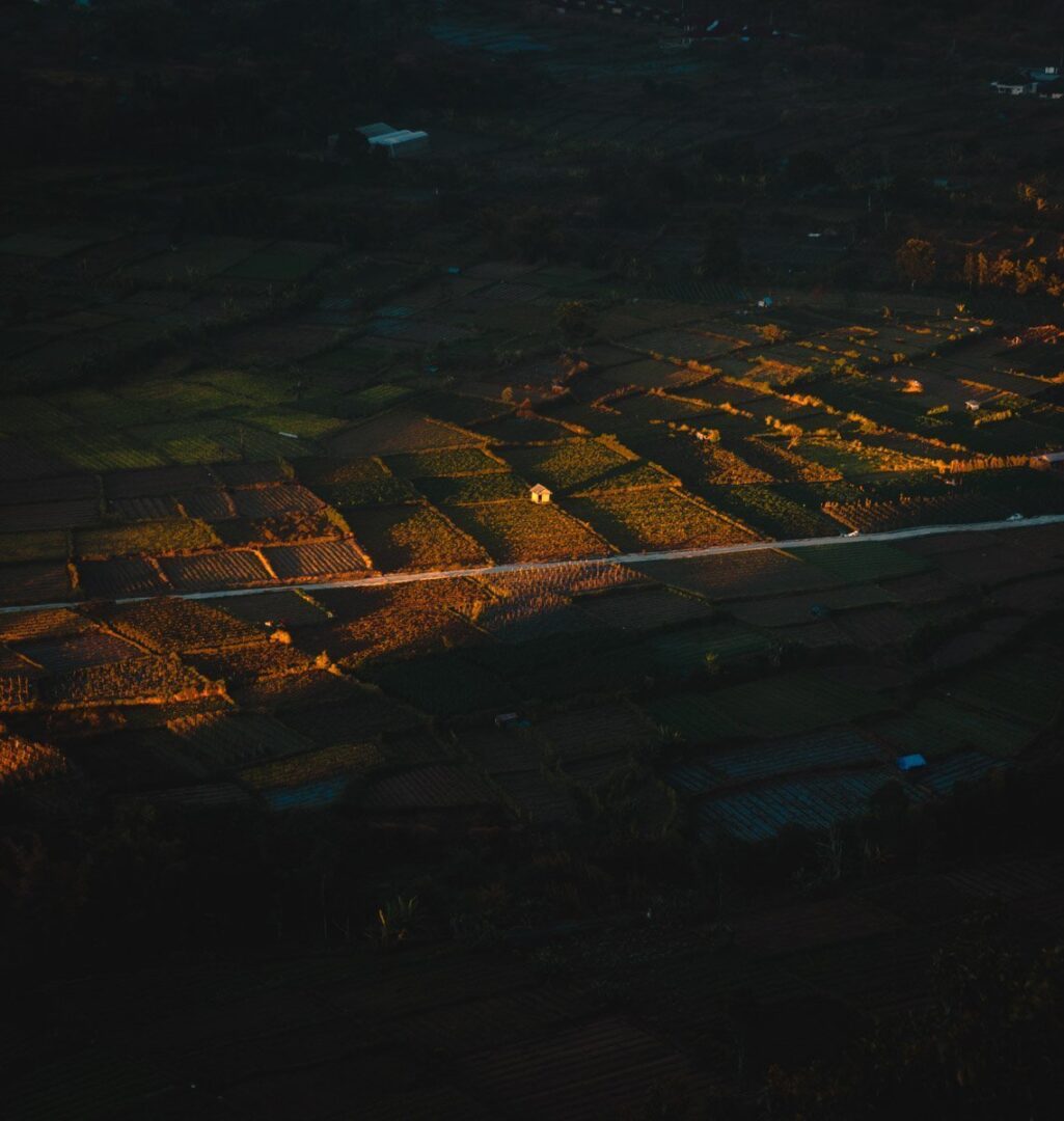 Hiking Pergasingan Hill in Sembalun, Lombok