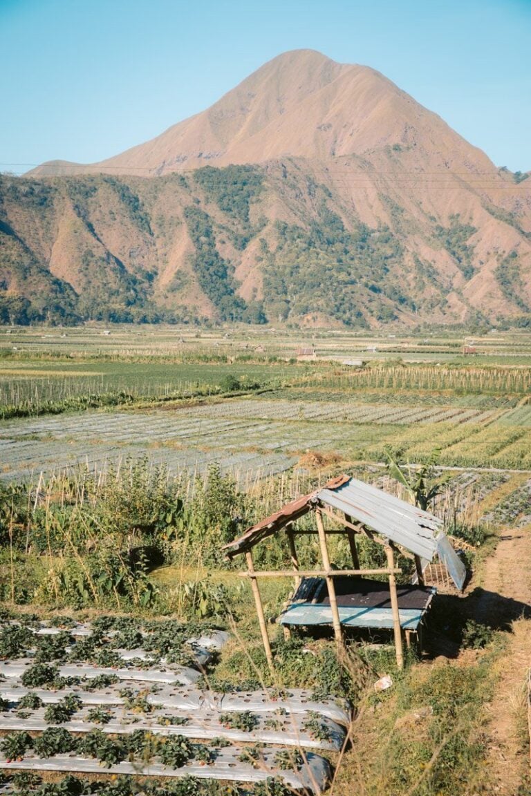 Sembalun Travel Guide With 7 Unmissable Things to Do