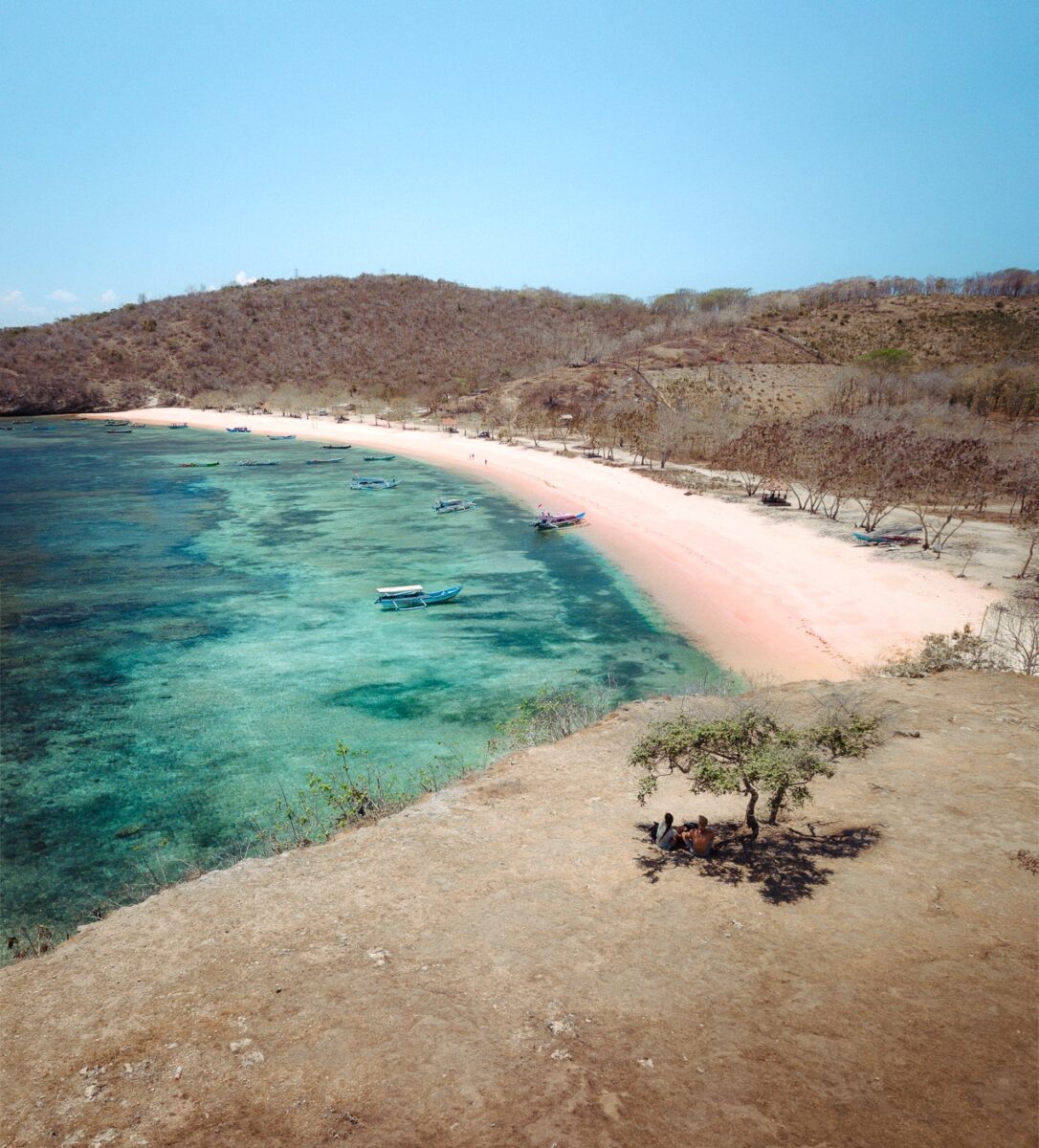 Pink Beach Lombok (Tangsi Beach): Complete Guide
