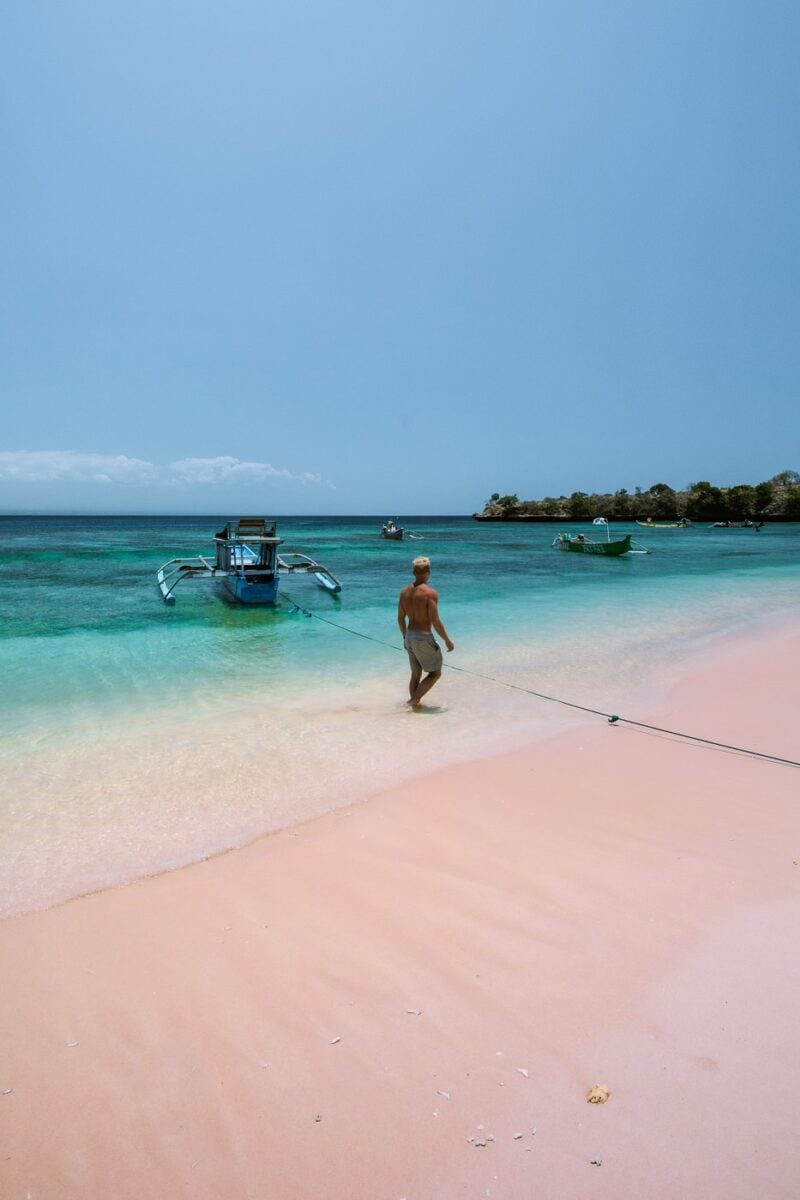 Pink Beach Lombok (Tangsi Beach): Complete Guide