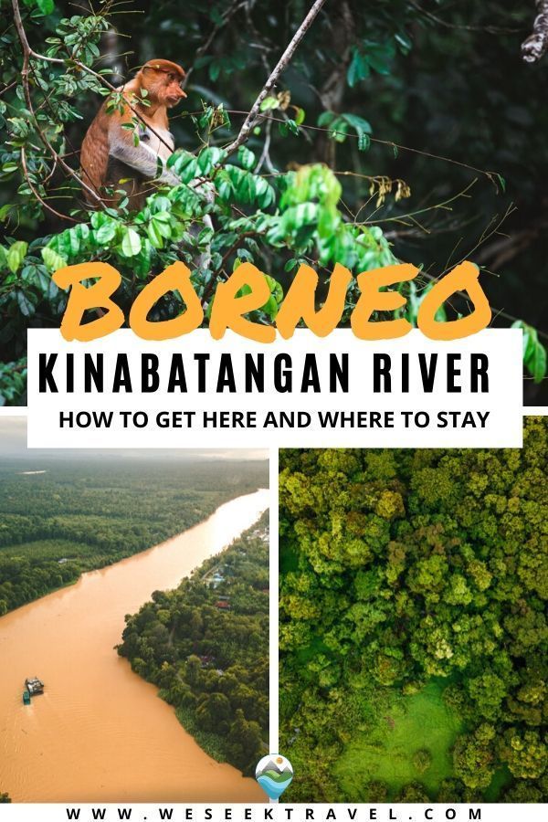 How To Get To Kinabatangan River and Where to Stay