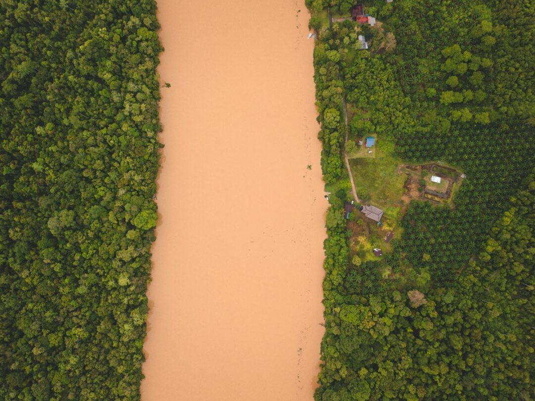 How to Plan a Kinabatangan River Cruise (Sukau, Sabah)