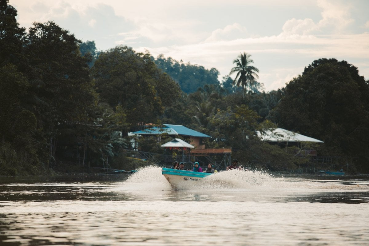 How To Get To Kinabatangan River and Where to Stay