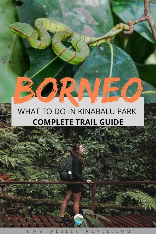 My Complete Guide to Kinabalu Park: Hikes, Tips & Transport
