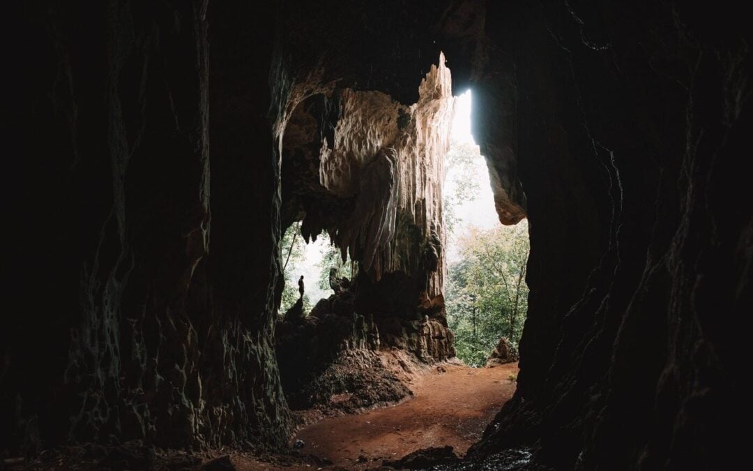 How to Plan a Kinabatangan River Cruise (Sukau, Sabah)