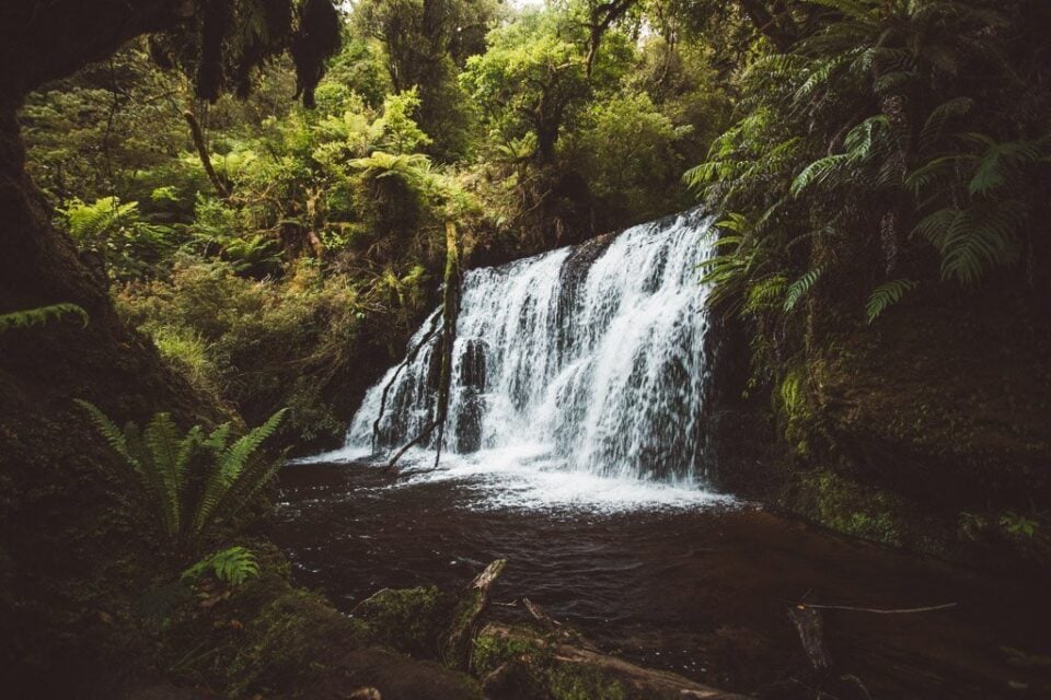 How to Hike the Waipohatu Waterfall Loop in The Catlins