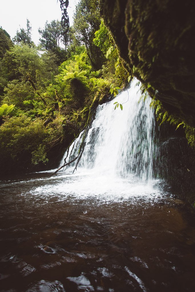 How to Hike the Waipohatu Waterfall Loop in The Catlins