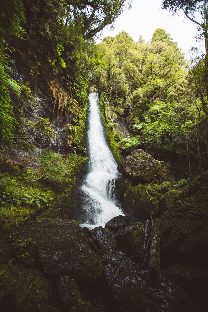 How to Hike the Waipohatu Waterfall Loop in The Catlins