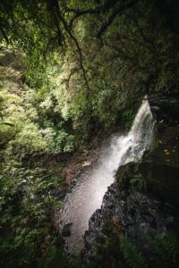 How to Visit Matai Falls and Horseshoe Falls: The Catlins