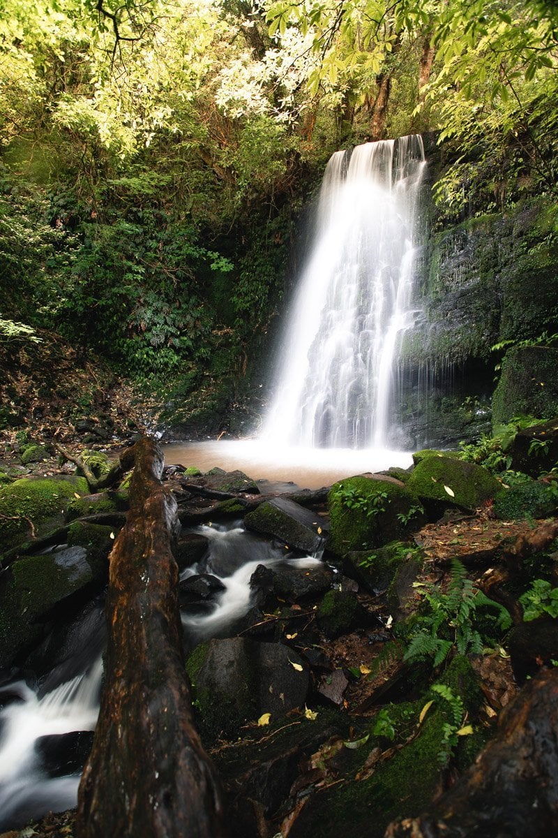 How to Visit Matai Falls and Horseshoe Falls: The Catlins