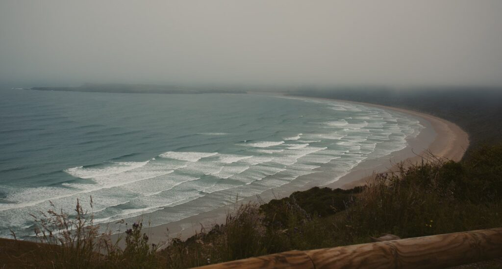 6 Top Things to Do in the Catlins on a New Zealand Road Trip