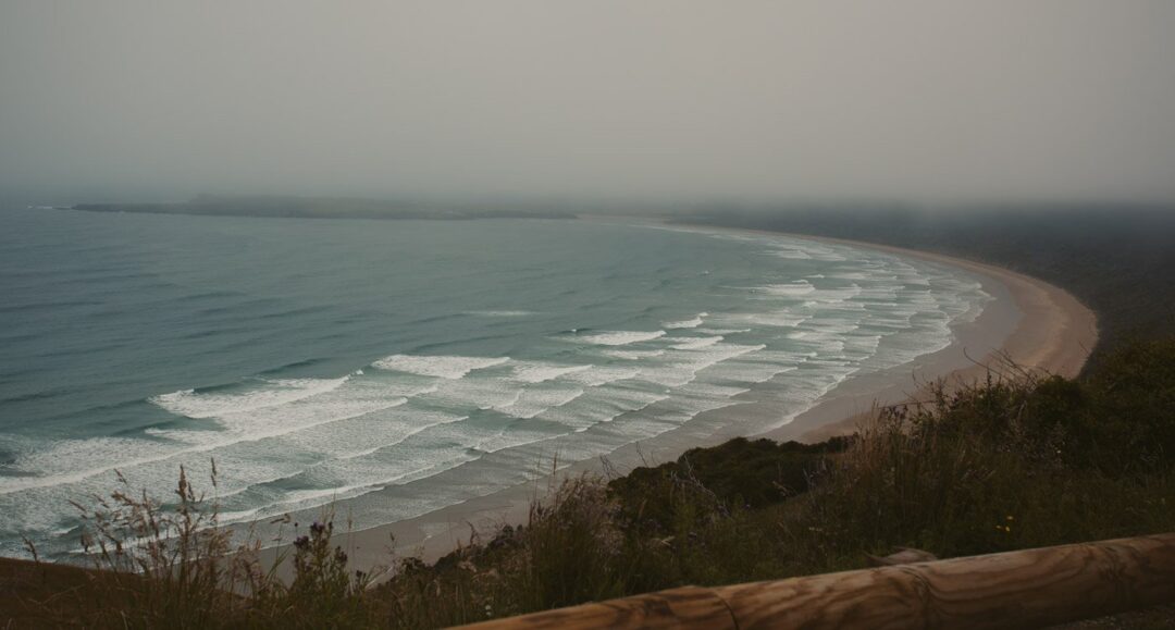 6 Top Things to Do in the Catlins on a New Zealand Road Trip