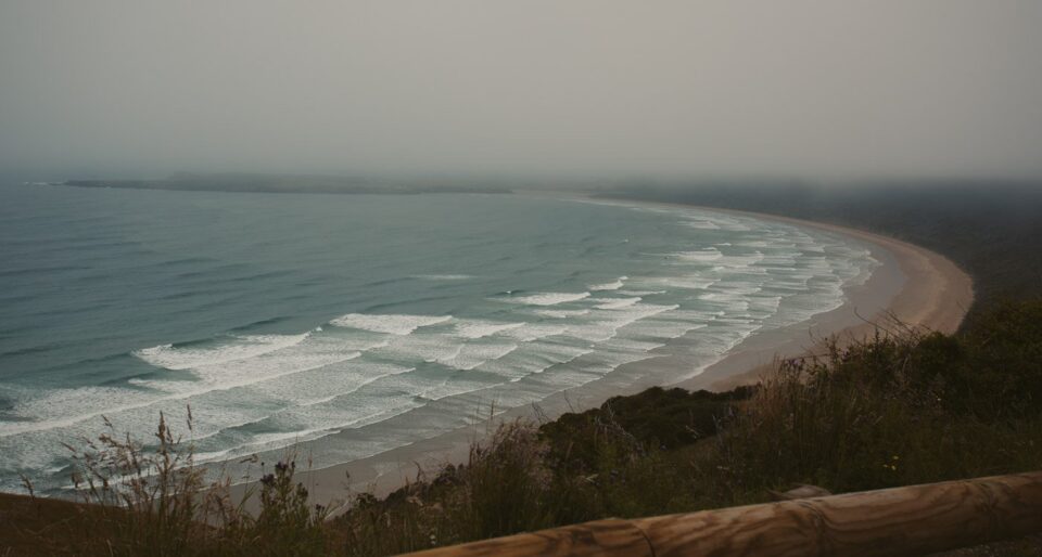 6 Top Things to Do in the Catlins on a New Zealand Road Trip