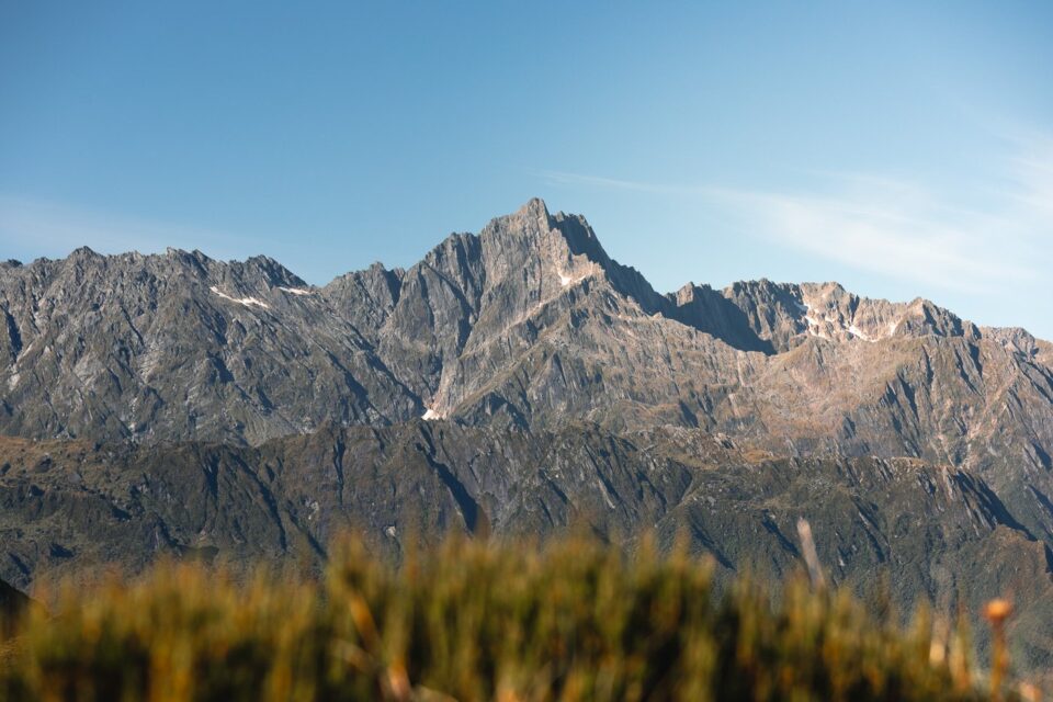 Mount Fox Route - Hiking Guide to the Best Fox Glacier Viewpoint, New ...