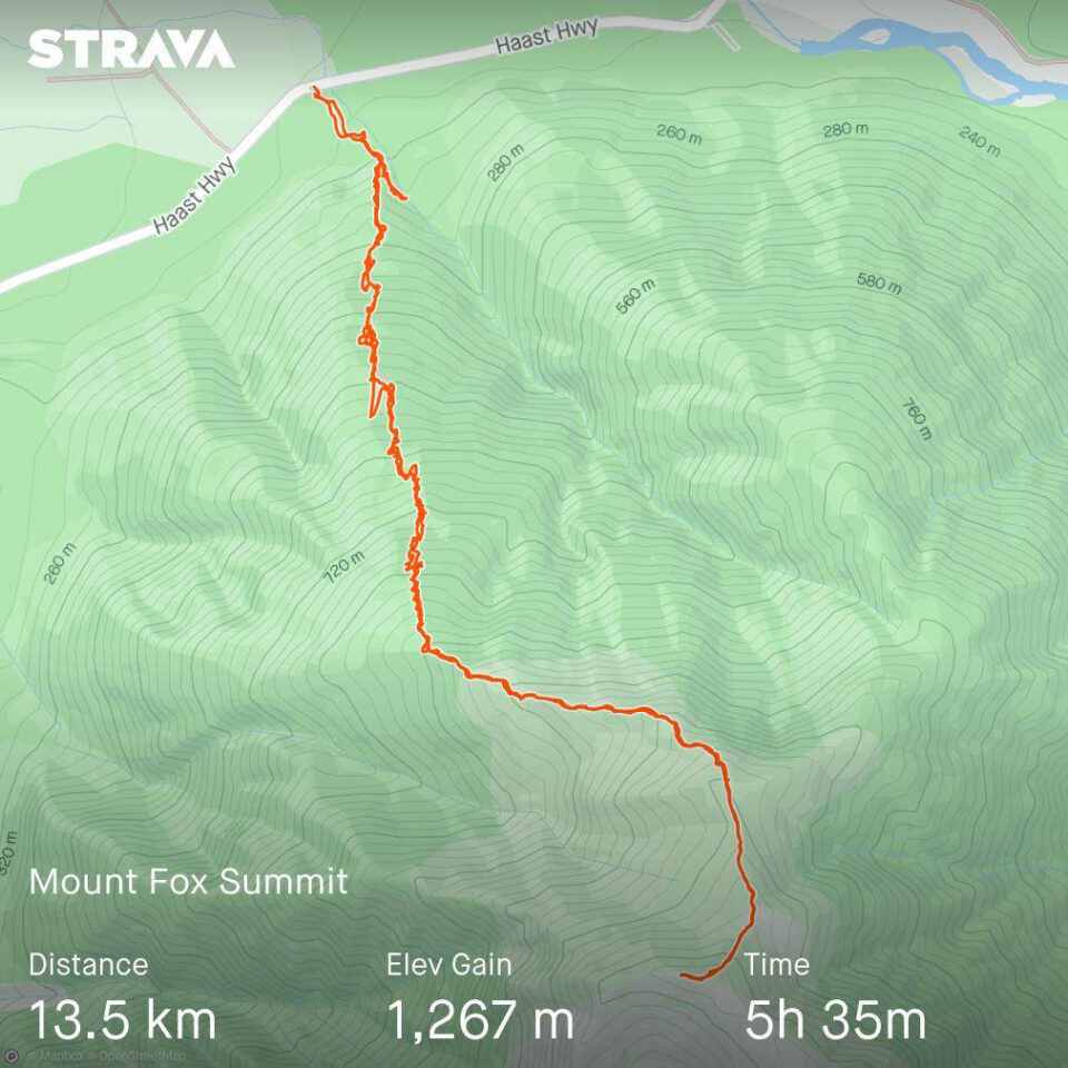 How to Hike Mount Fox Route: Best Fox Glacier Viewpoint