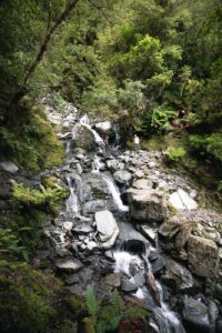 Roberts Point Track - Franz Josef Glacier Lookout, New Zealand – We ...