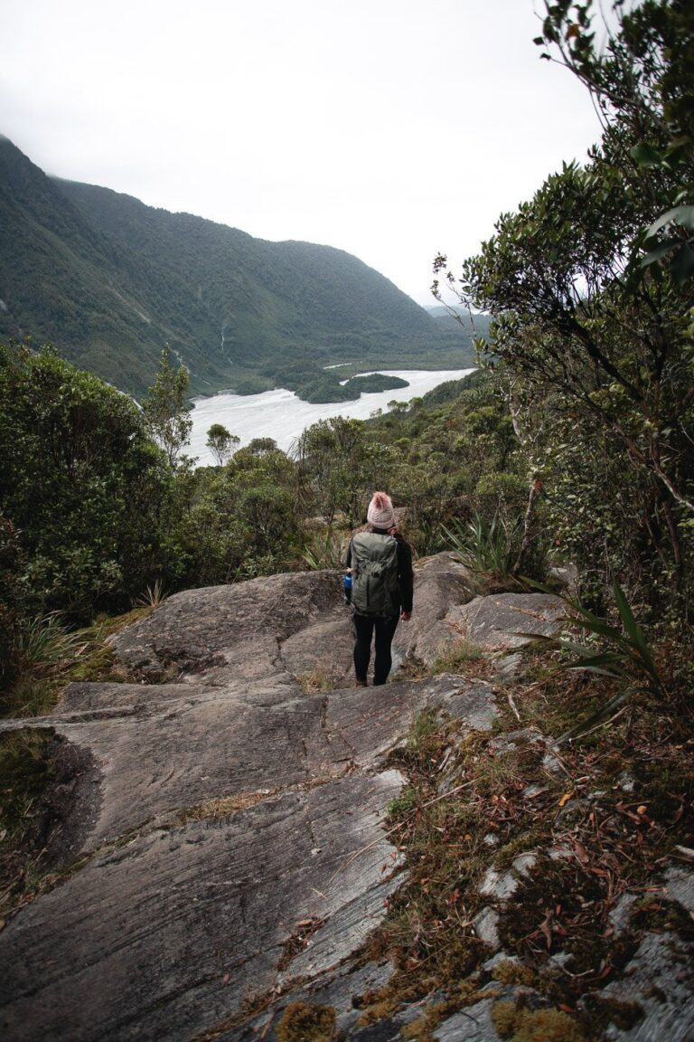 Roberts Point Track - Franz Josef Glacier Lookout, New Zealand – We ...