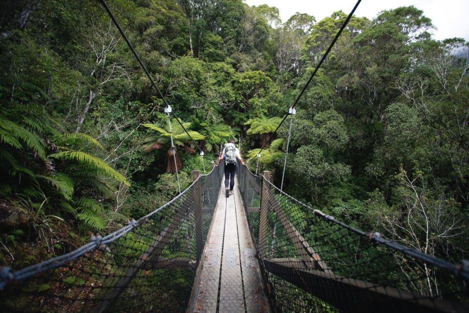 Hiking to Roberts Point Track: Franz Josef Glacier Lookout