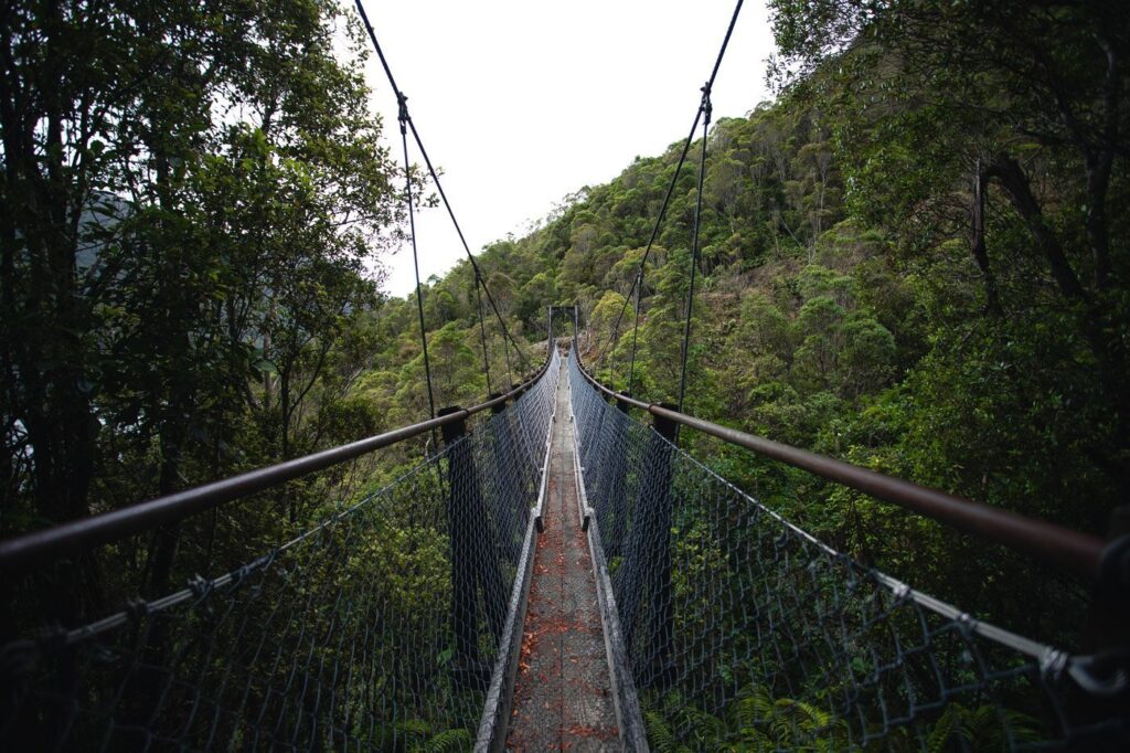 Roberts Point Track - Franz Josef Glacier Lookout, New Zealand – We ...
