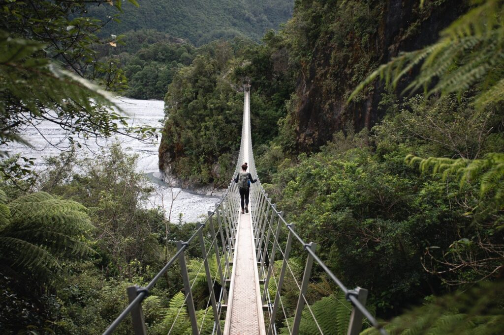 Roberts Point Track - Franz Josef Glacier Lookout, New Zealand – We ...