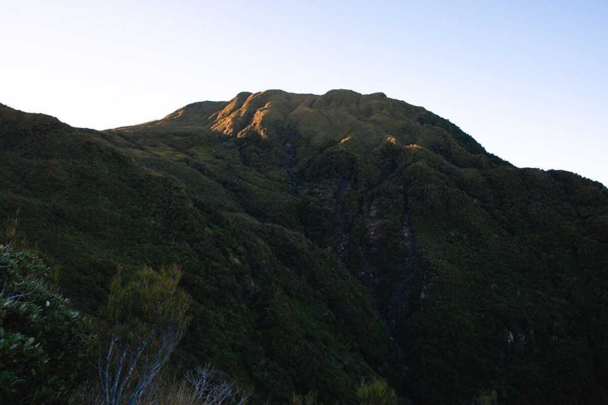 How to Hike Mount Fox Route: Best Fox Glacier Viewpoint