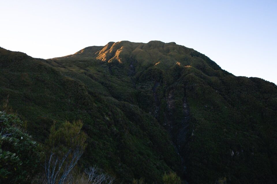 How to Hike Mount Fox Route: Best Fox Glacier Viewpoint