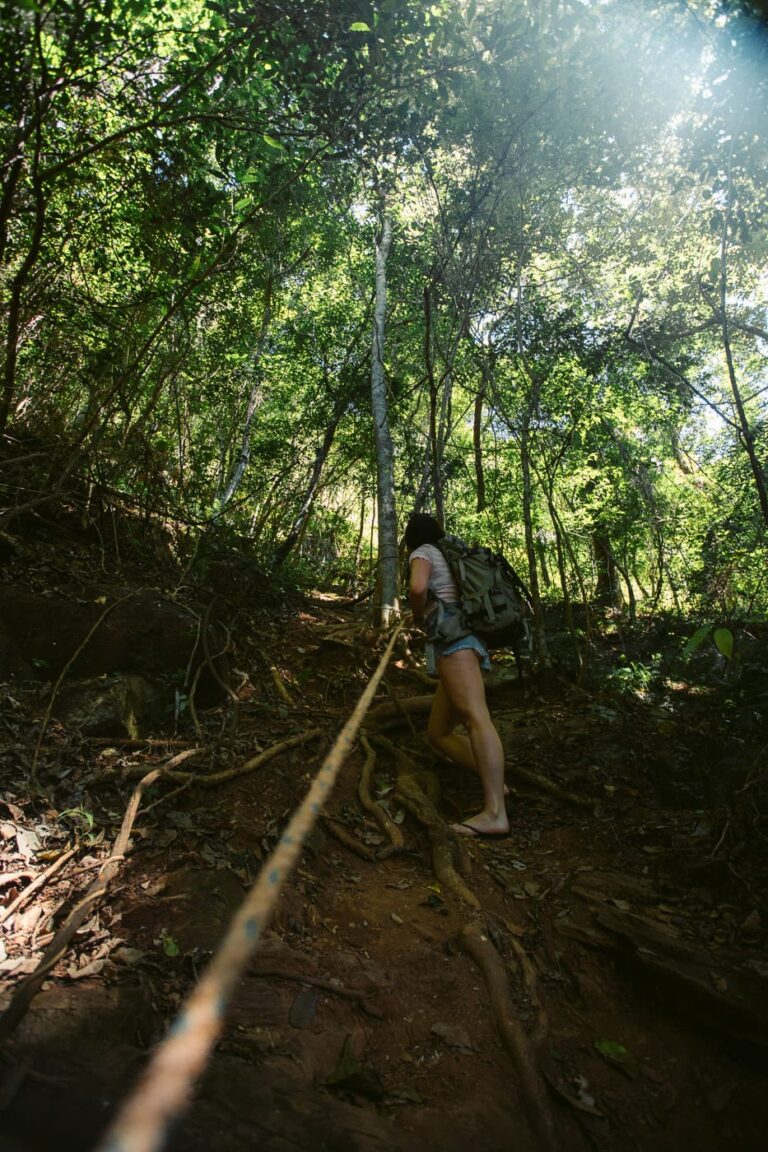 Isabella Falls Cairns is Now Closed