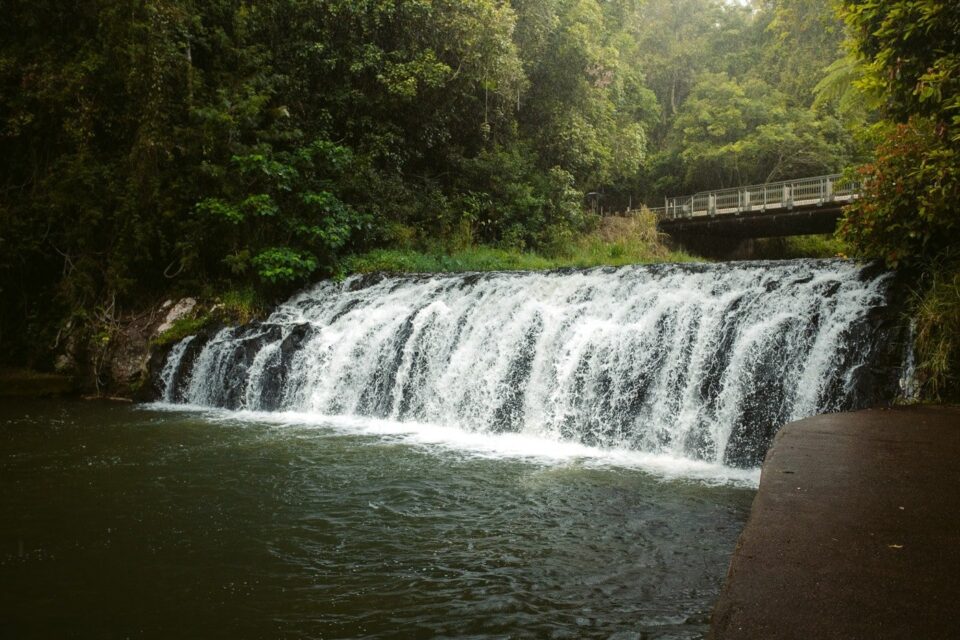 26 Best Things to Do in the Atherton Tablelands -Travel Guide