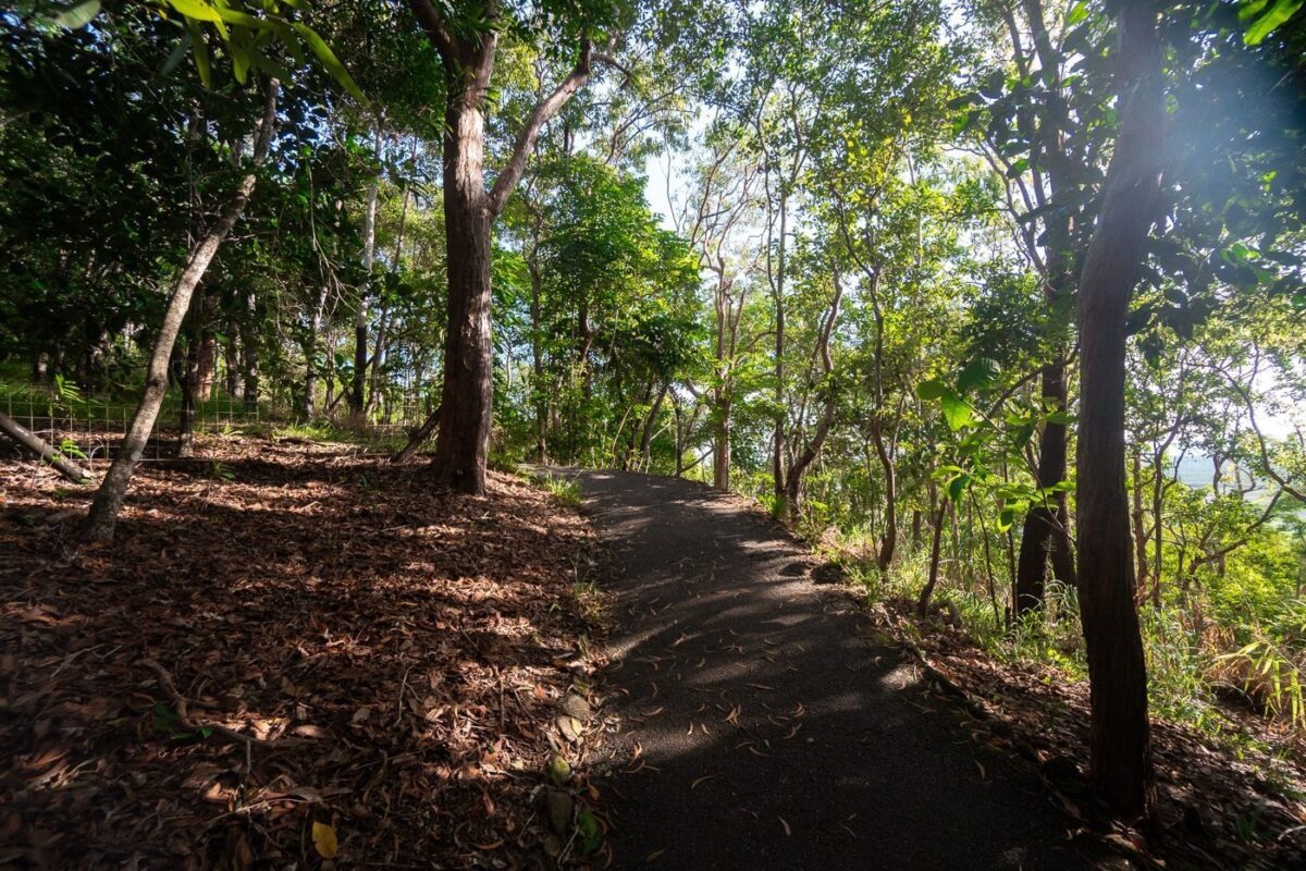 Cairns Arrow Tracks: Red & Blue Arrow (Mount Whitfield Loop)
